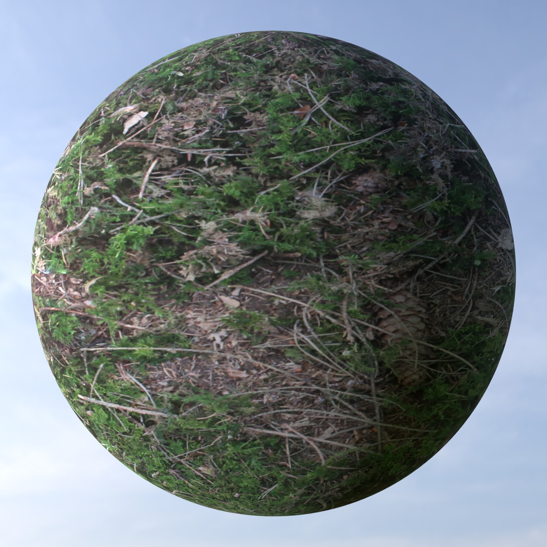 ArtStation - Forest Ground 6 PBR Material | Game Assets