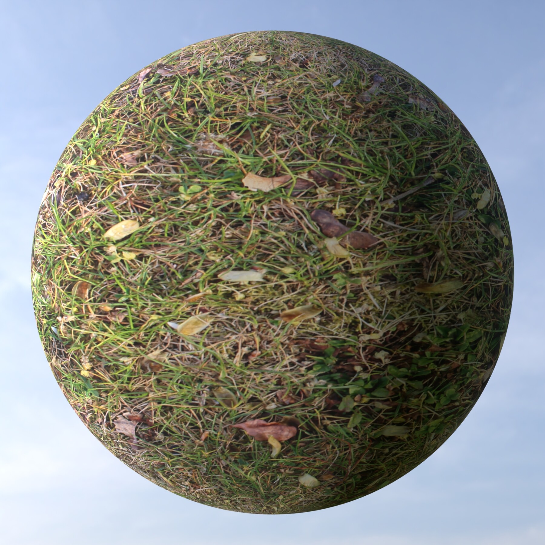 ArtStation - Grass 11 PBR Material | Game Assets