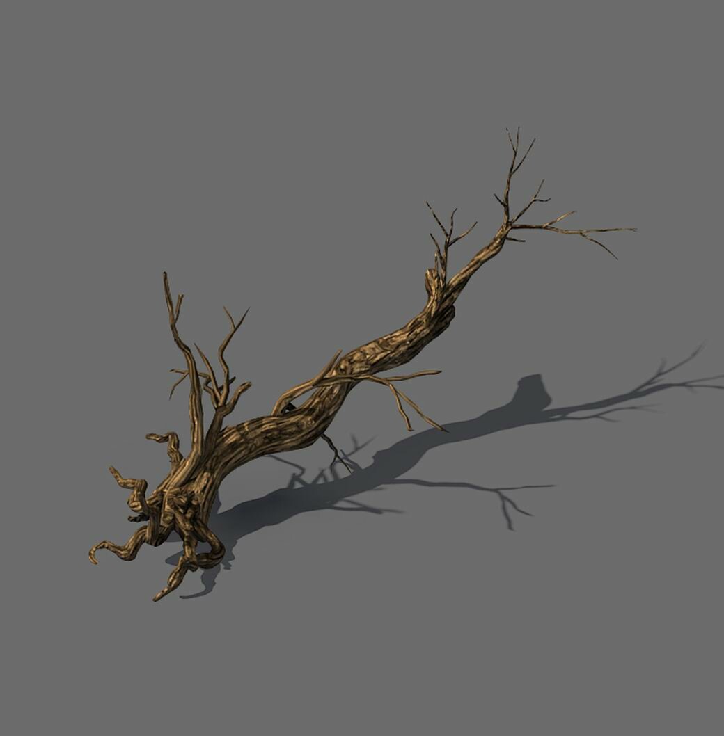 ArtStation - Explore the mountains - dead wood 06 | Resources
