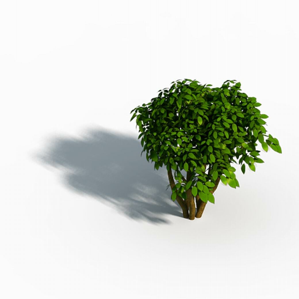 ArtStation - Small bamboo peak - tree 02 | Resources