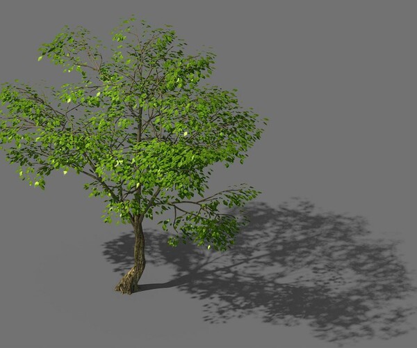 ArtStation - New Village - Landscape Tree 01 | Resources