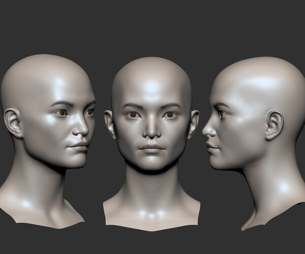 ArtStation - Woman Head Base mesh 3D model | Resources