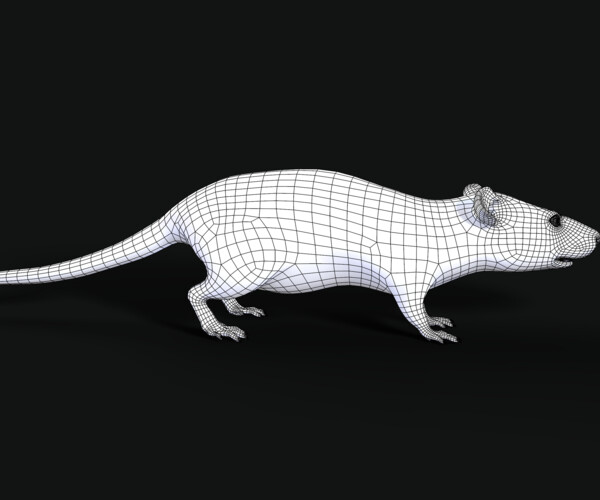 ArtStation - Brown rat with low poly fur | Resources