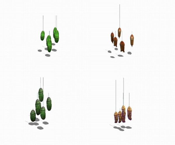 ArtStation - Insects - pupa | Game Assets