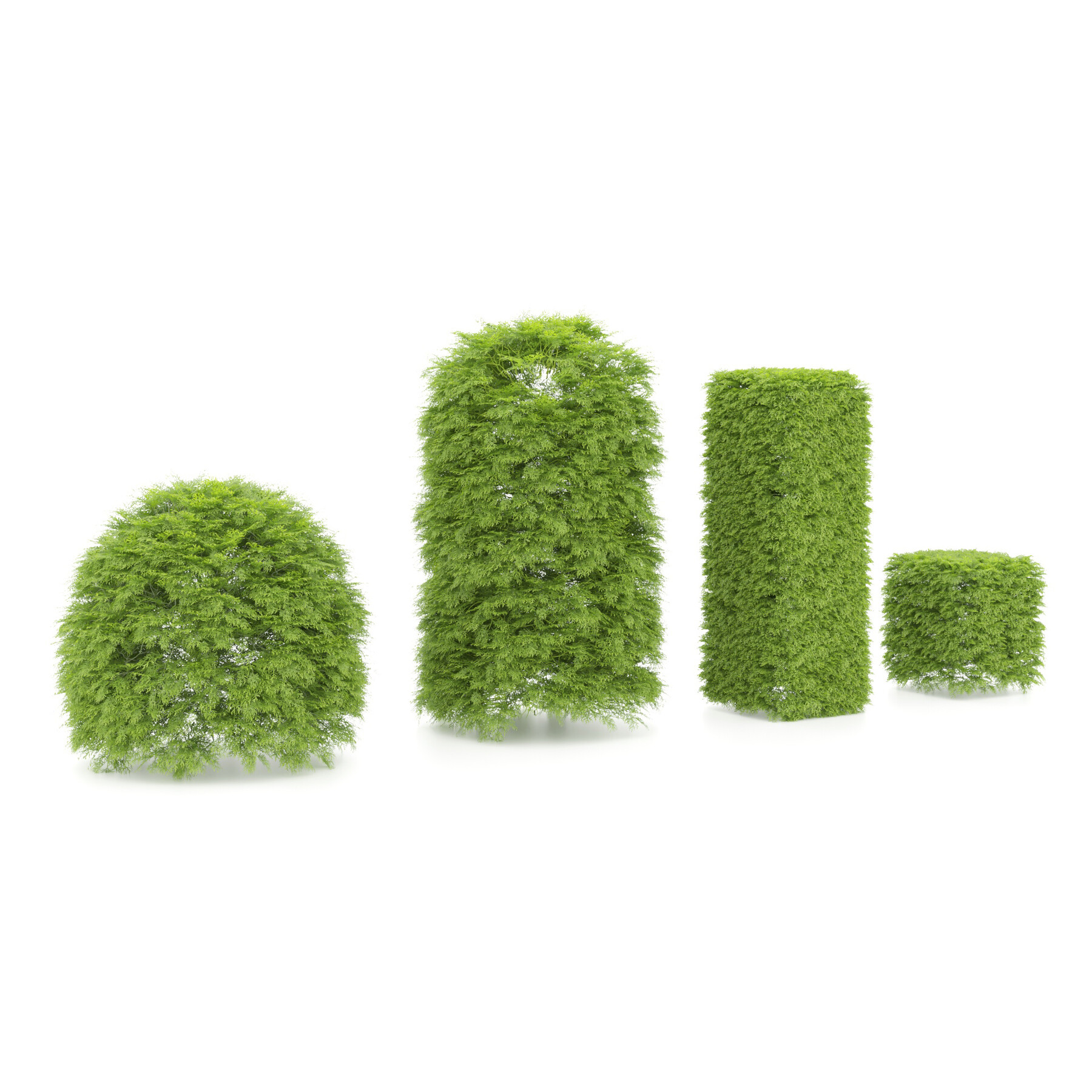 ArtStation - Shaped Bush plants V02 | Resources