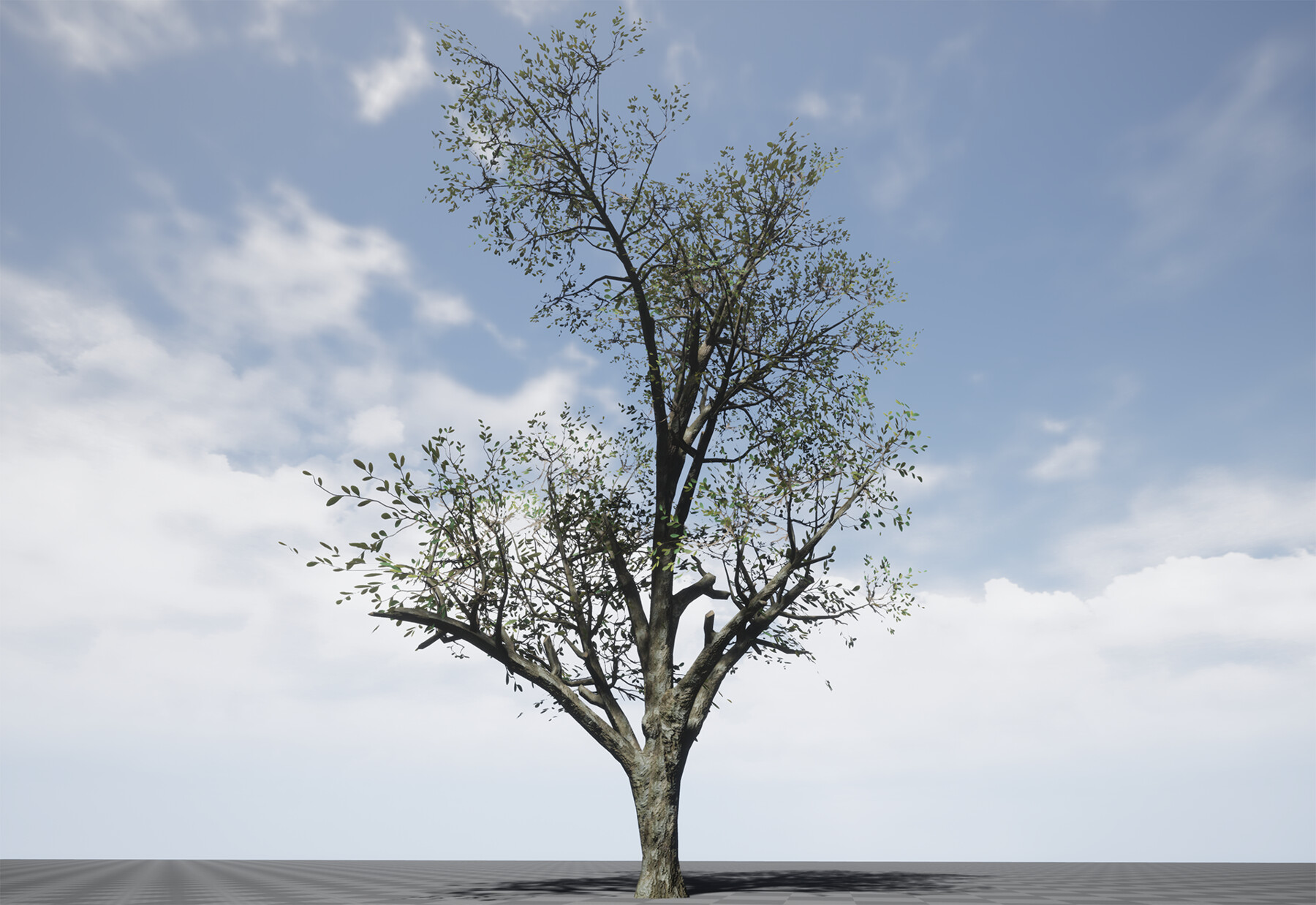 ArtStation - Tree Collection 001 | Game Assets