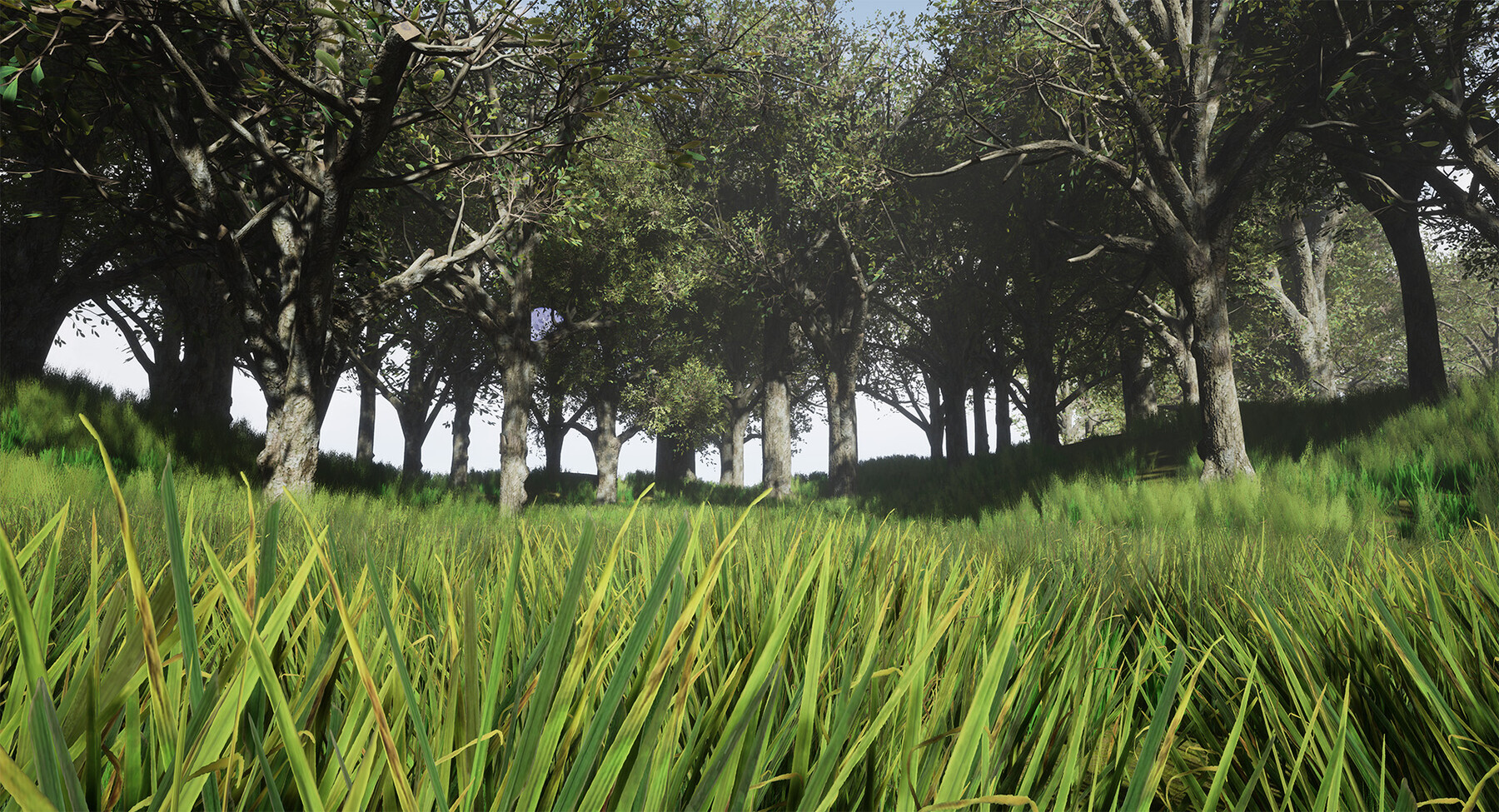 ArtStation - Tree Collection 001 | Game Assets