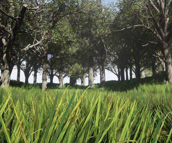 ArtStation - Tree Collection 001 | Game Assets