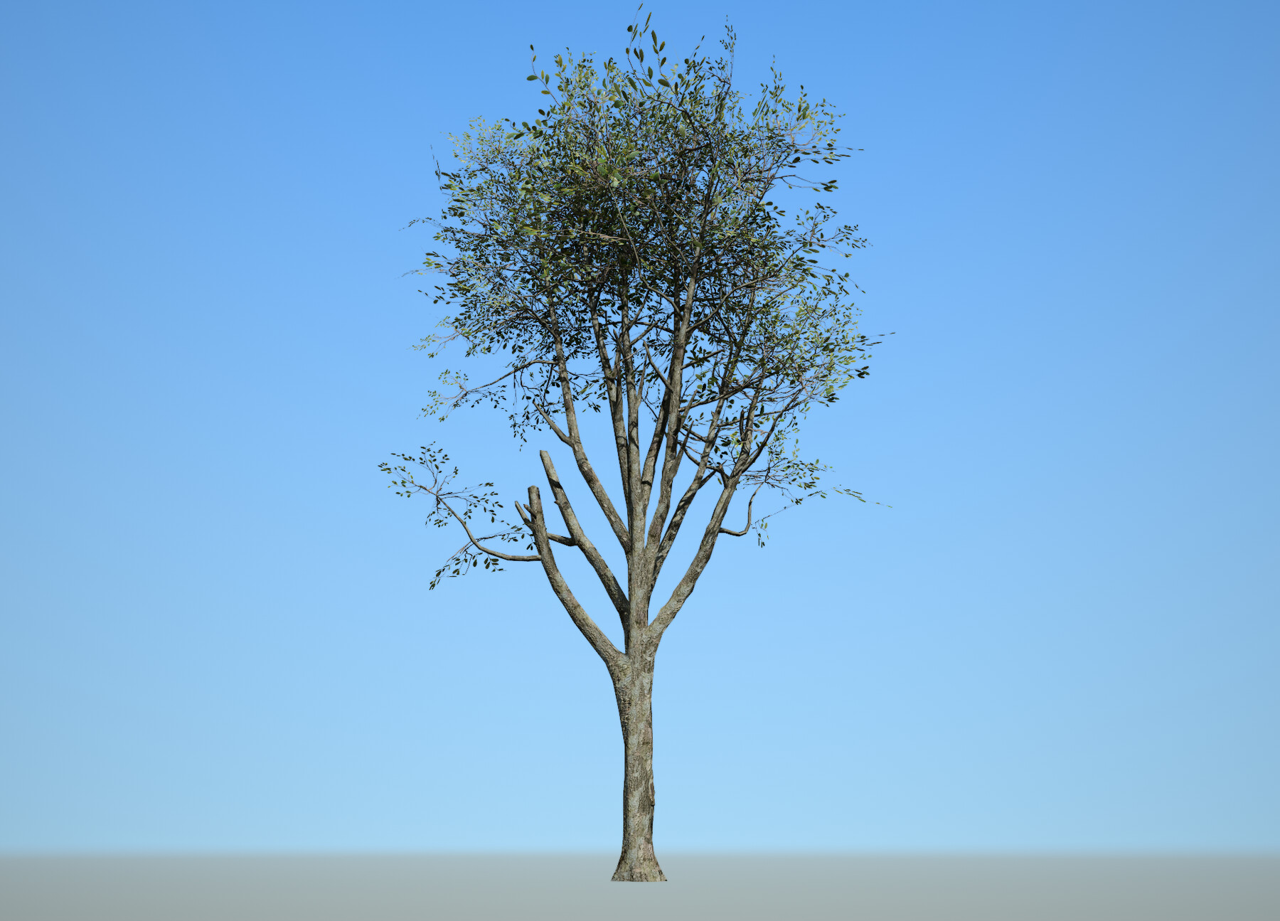 ArtStation - Tree Collection 001 | Game Assets
