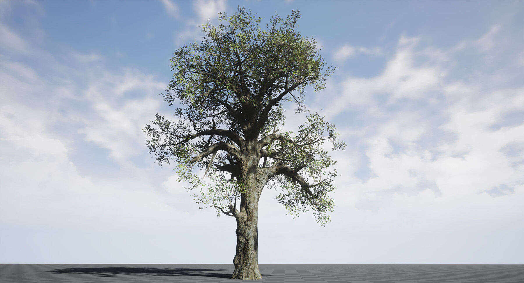 ArtStation - Tree Collection 001 | Game Assets
