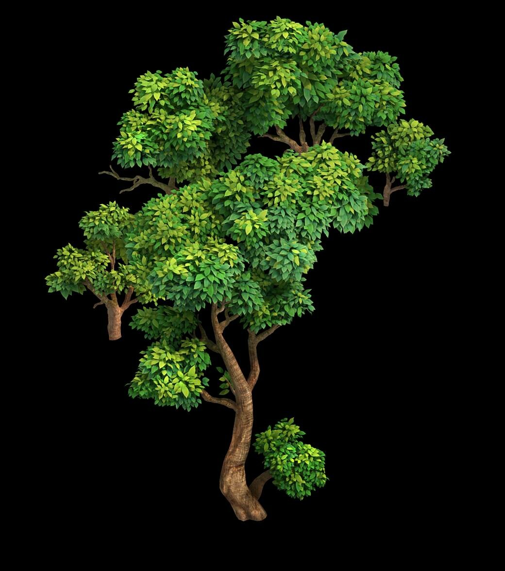 ArtStation - 100 acres of forest - small tree 03 | Game Assets