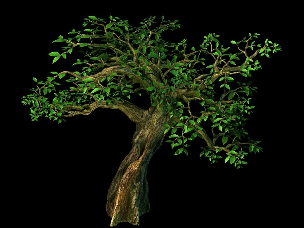 ArtStation - Fernnor Tree Cave - Tree 02 | Game Assets