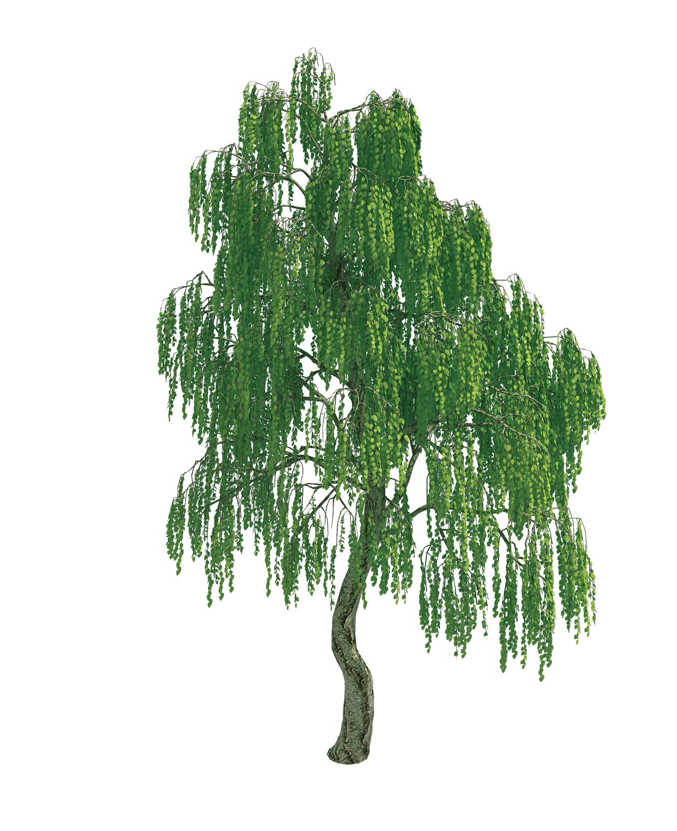 ArtStation - Forest - Birch Tree 45 | Game Assets