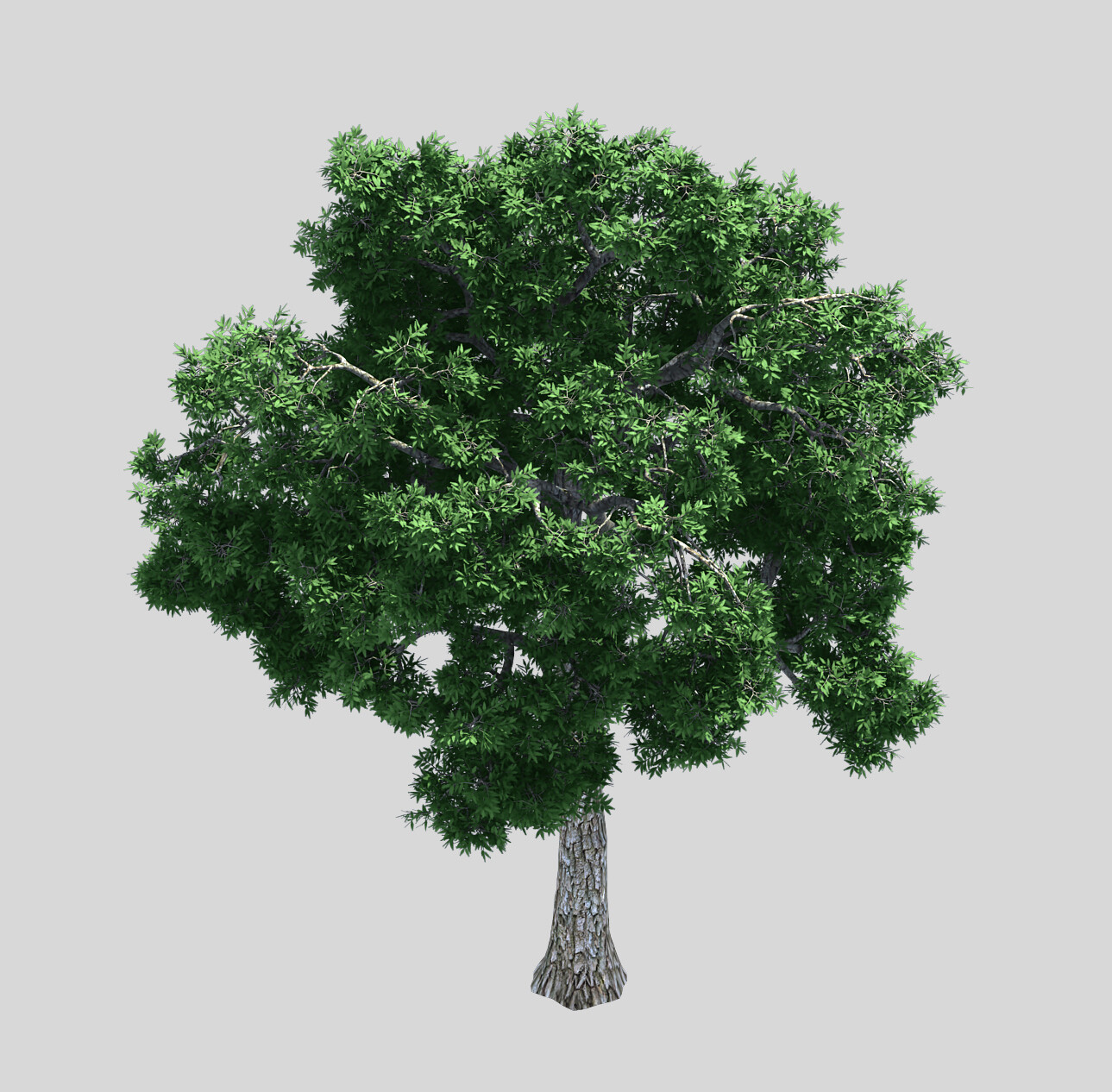 ArtStation - Forest - Ash Tree 32 | Game Assets