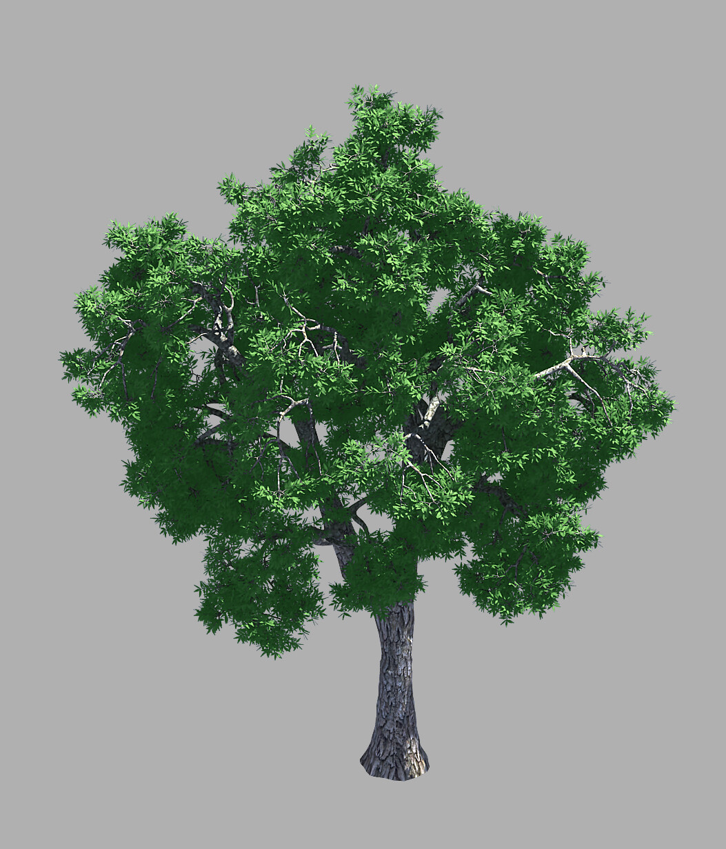 ArtStation - Forest - Ash Tree 54 | Game Assets