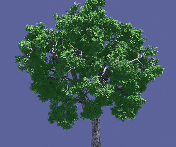 ArtStation - Forest - Ash Tree 54 | Game Assets
