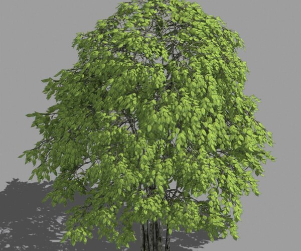 ArtStation - Forest - Red Bean 19 | Game Assets