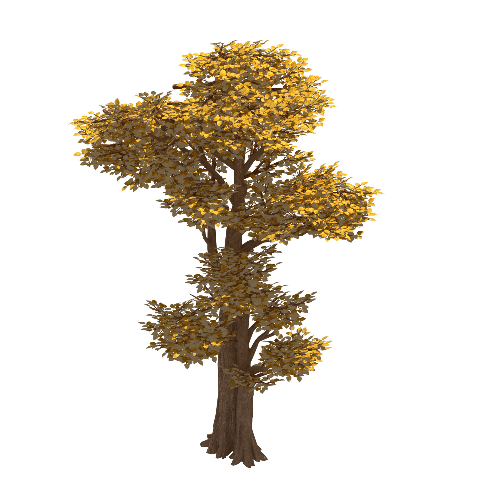 ArtStation - Forest - Populus 002 | Game Assets