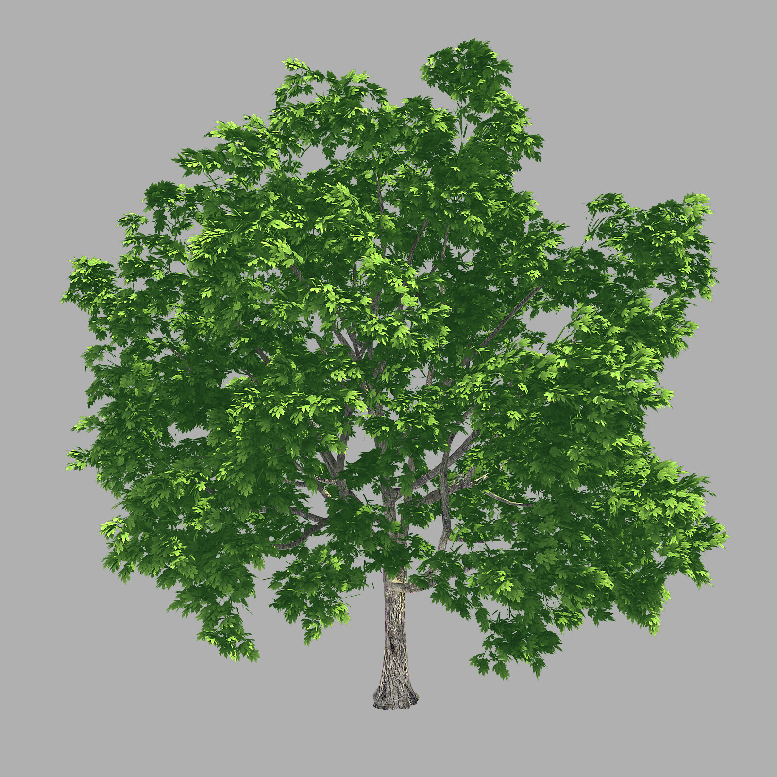 ArtStation - Forest - Lime Tree 34 | Game Assets
