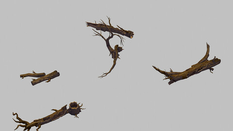 ArtStation - Forest - Deadwood 688 | Game Assets