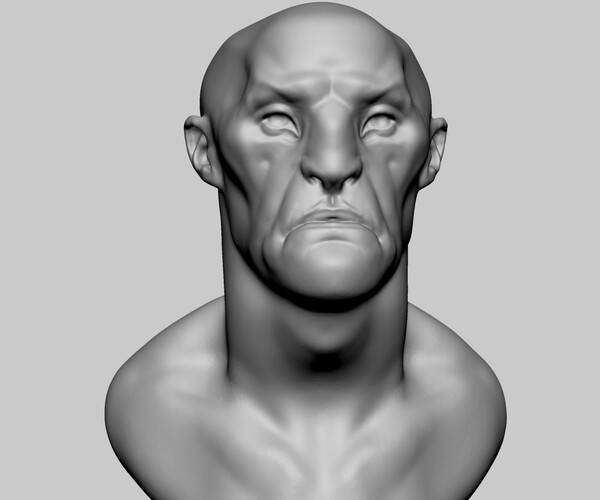 ArtStation - Stylized Creature Head | Resources