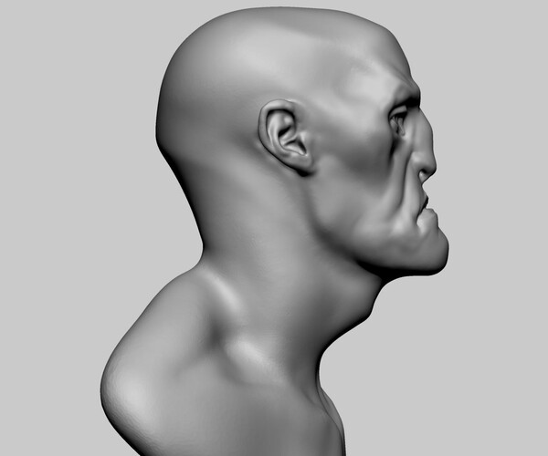 ArtStation - Stylized Creature Head | Resources