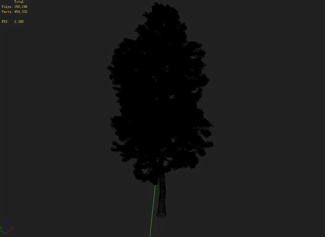ArtStation - Forest - Scotia Pines 58 | Game Assets