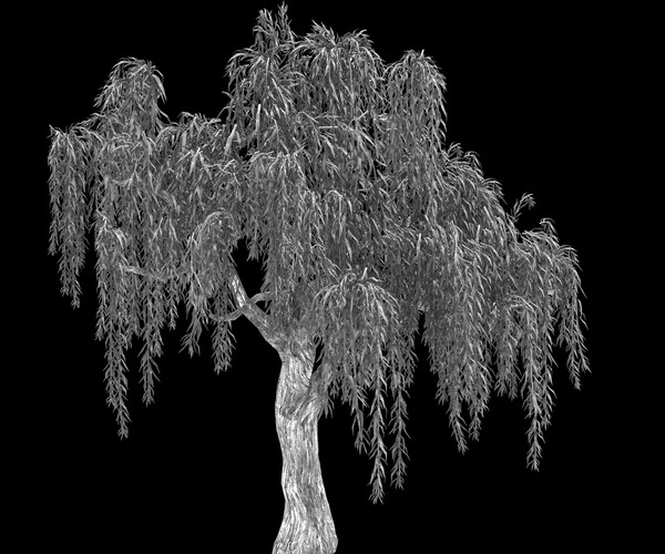 ArtStation - Forest Plant - Willow Tree 93 | Game Assets