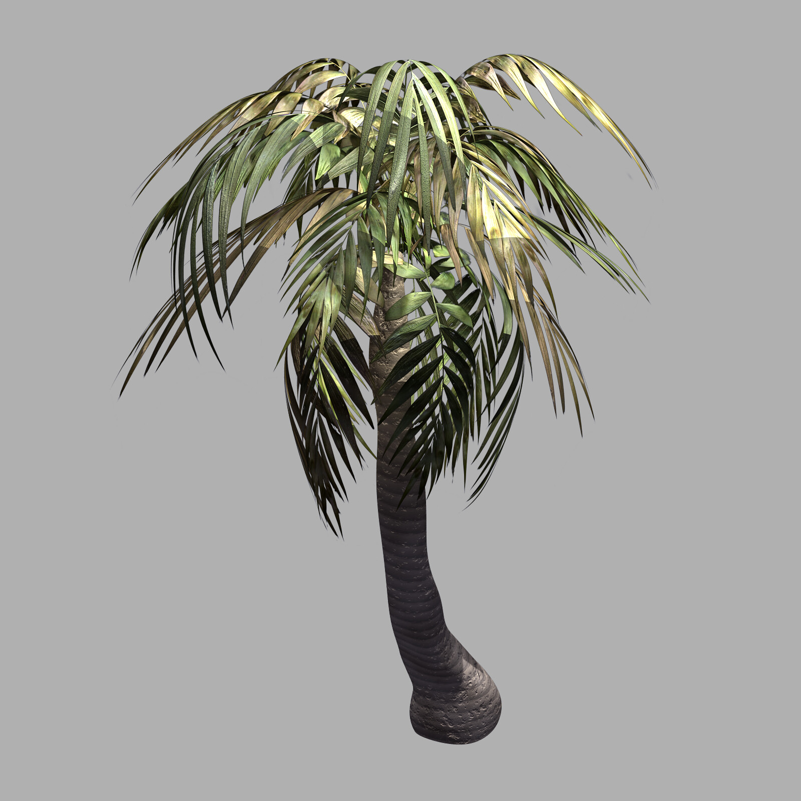 ArtStation - Plant - Palm Tree | Game Assets