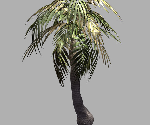 ArtStation - Plant - Palm Tree | Game Assets