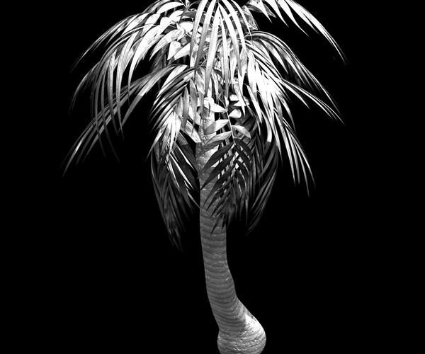 ArtStation - Plant - Palm Tree | Game Assets