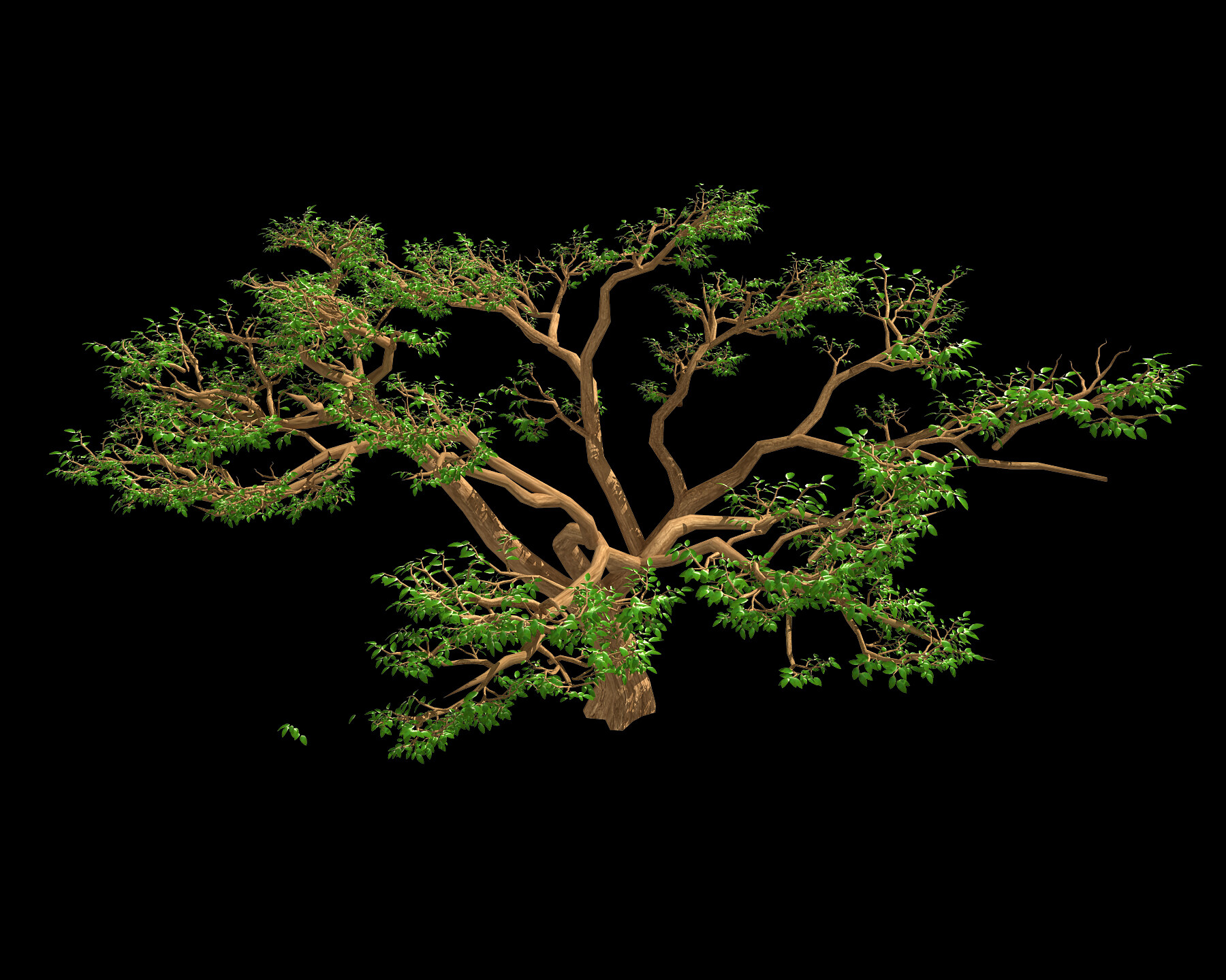 ArtStation - Plant - Green - Tree 04 | Game Assets