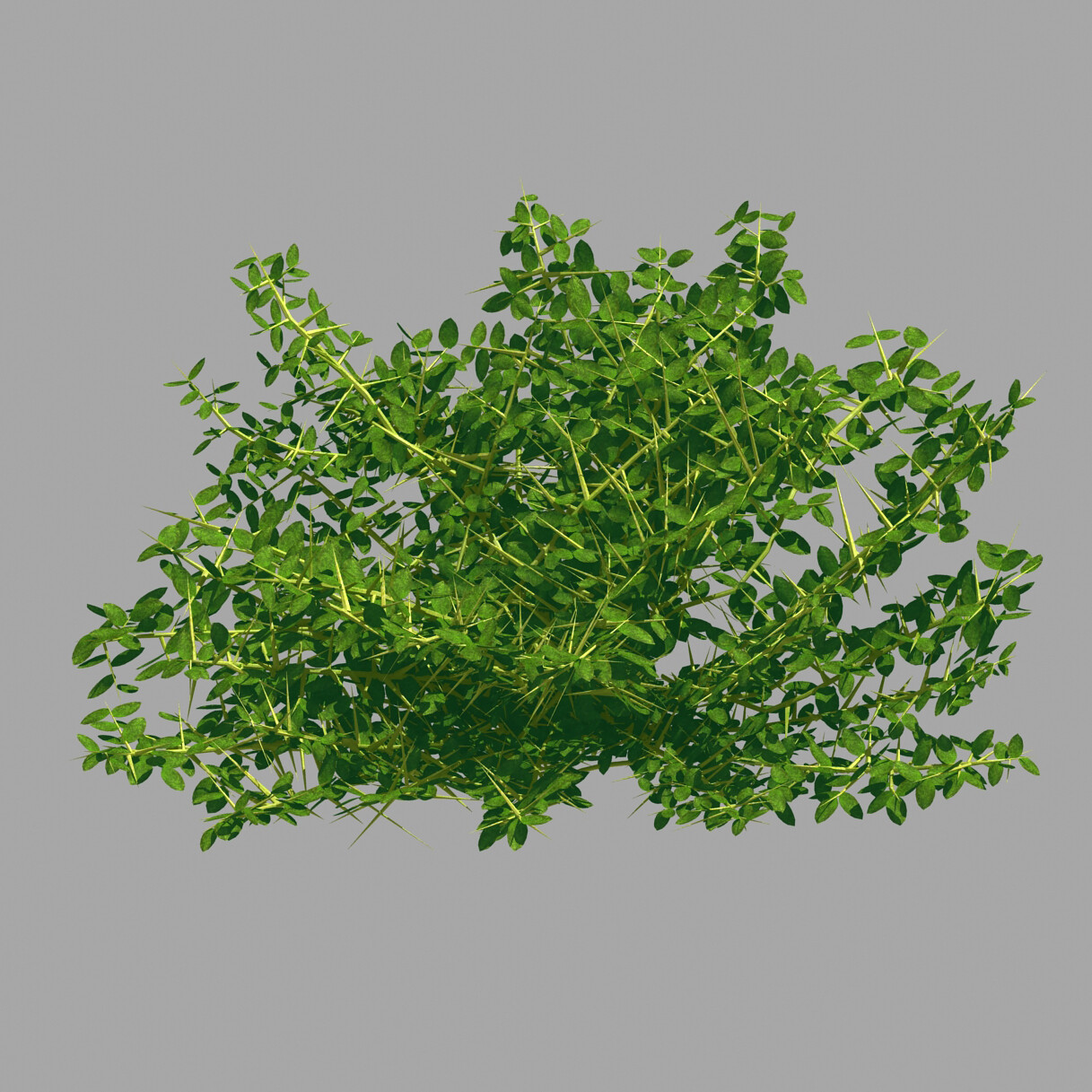 ArtStation - Plant - Weed 036 | Game Assets