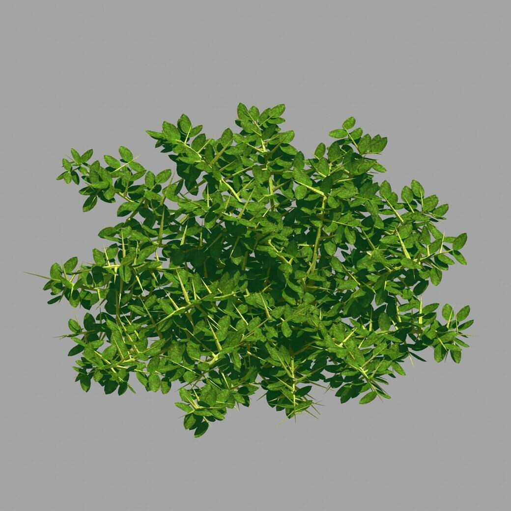 ArtStation - Plant - Weed 036 | Game Assets