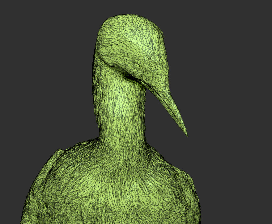 ArtStation - Common loon 08 | Game Assets