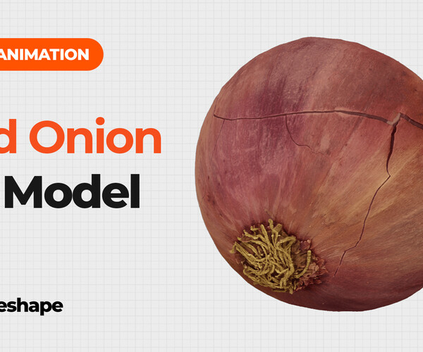 ArtStation - Red Onion - Extreme Definition 3D Scanned | Resources