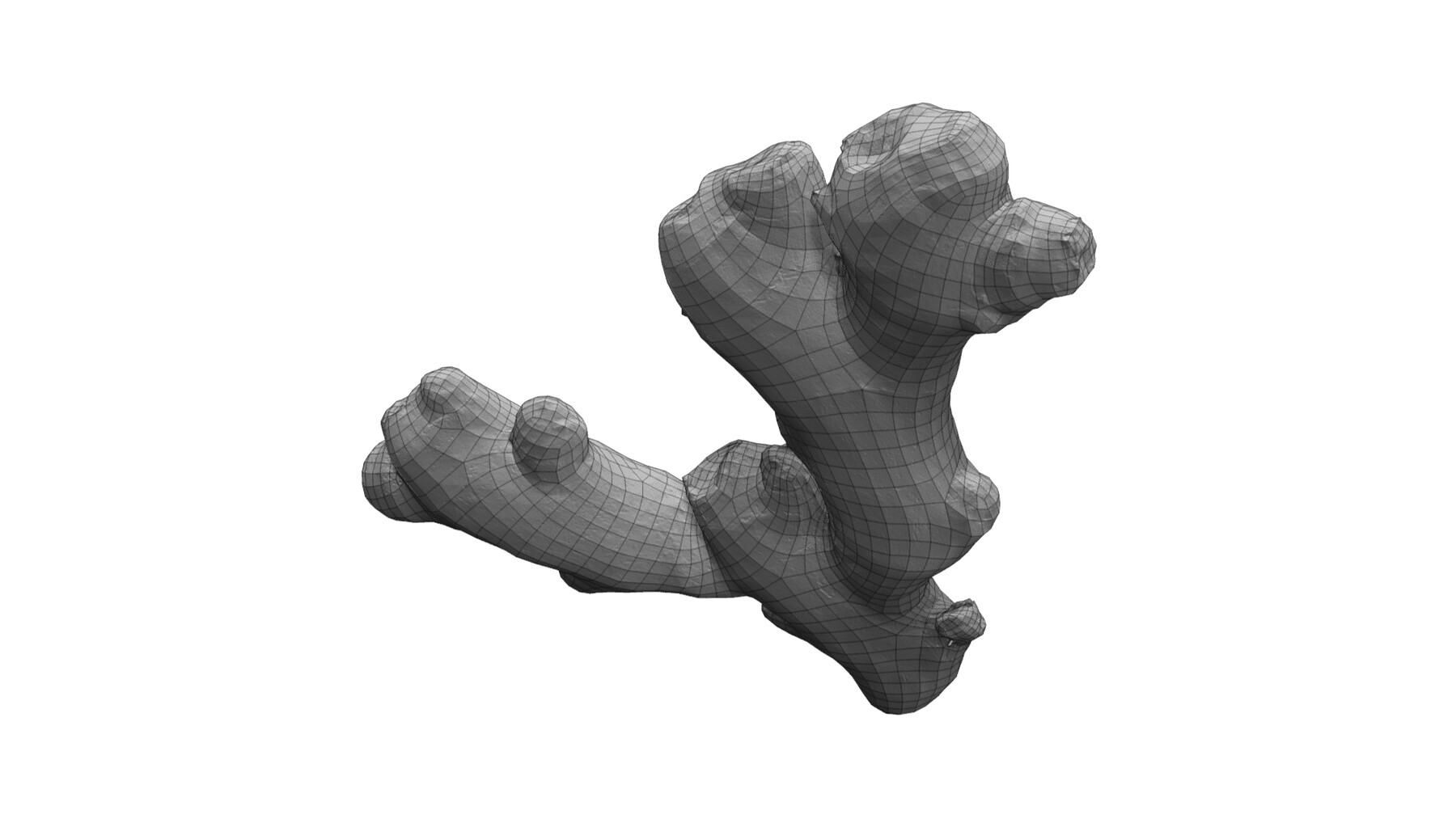 ArtStation - Fresh Ginger Root - Real-Time 3D Scanned | Resources