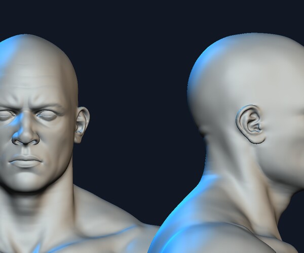 ArtStation - Male Body Anatomy - High Poly - 4 subdivision levels ...