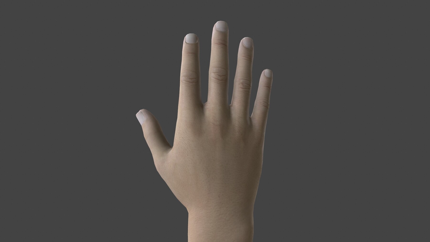ArtStation - HAND.006 Rigged Hand | Game Assets