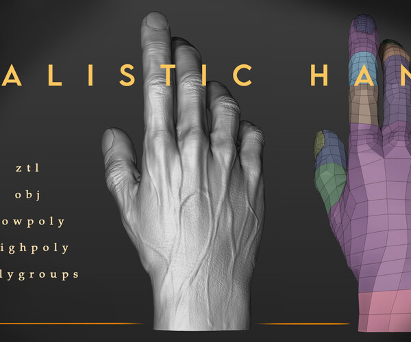 ArtStation - Realistic Hand | Resources