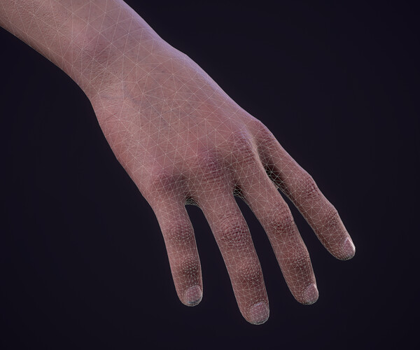 ArtStation - First Person Arms - 1 | Game Assets