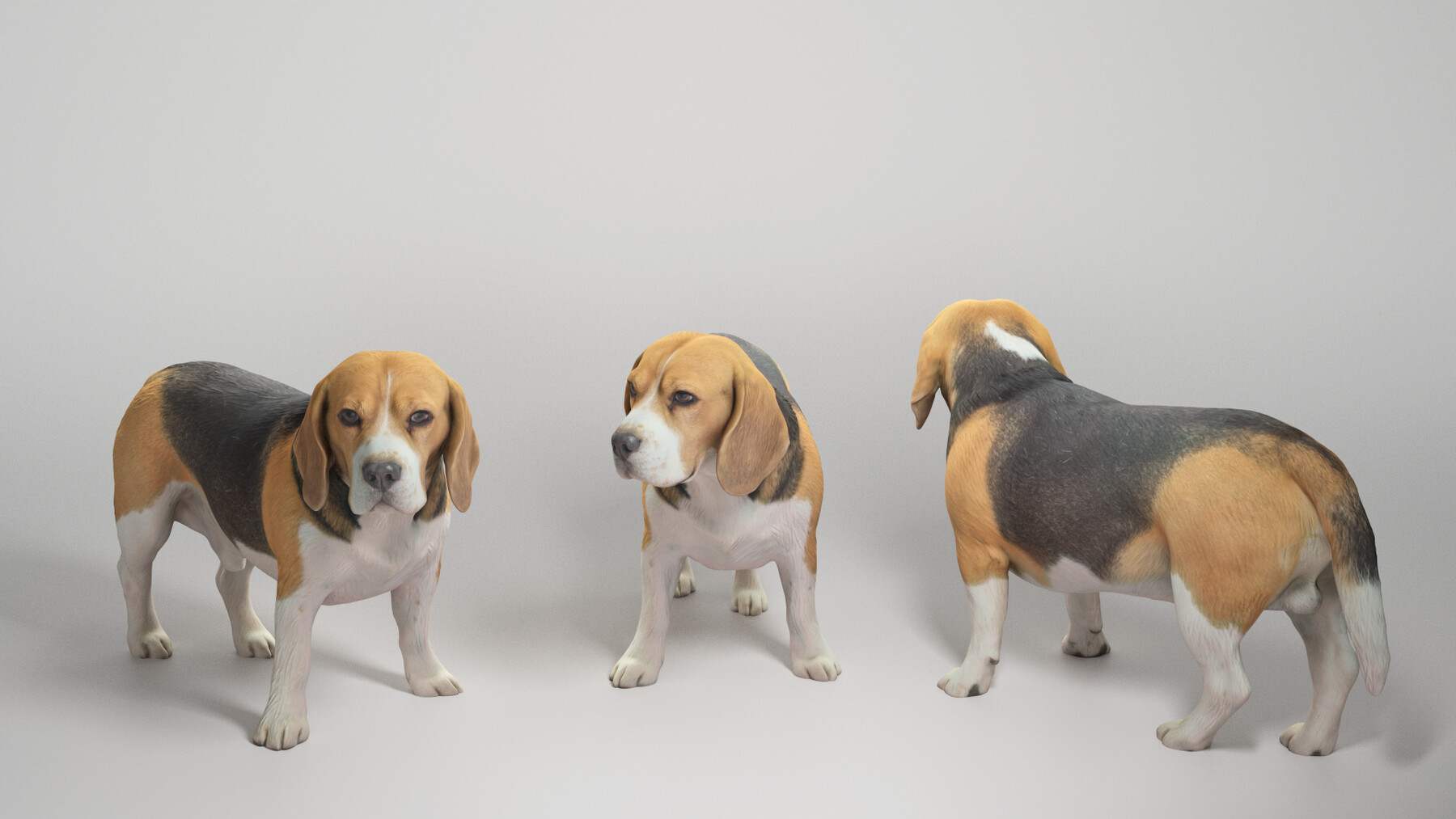 ArtStation - Beagle dog 09 | Game Assets