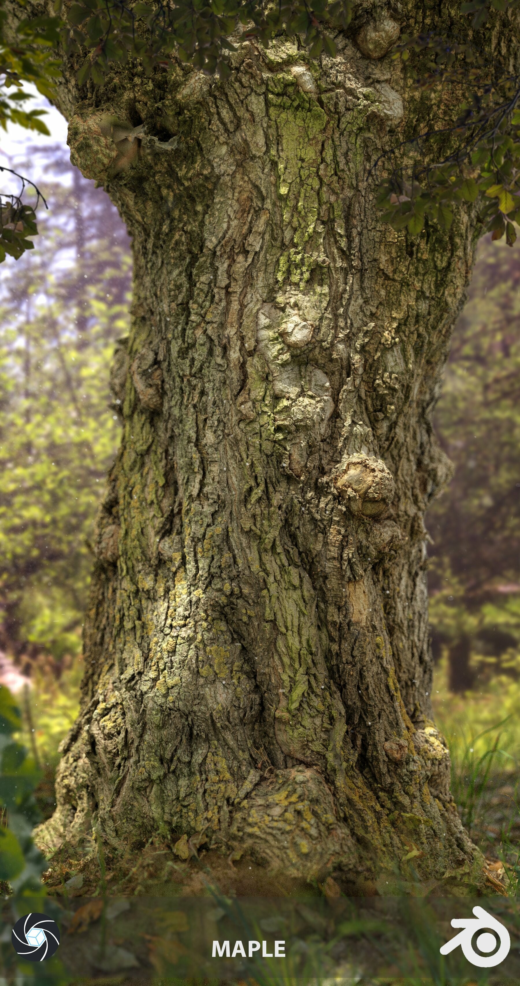 ArtStation - Maple(scan) | Game Assets