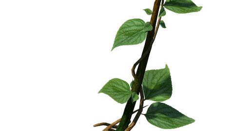 ArtStation - Big Trees - Vines 02 | Game Assets