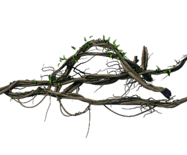 ArtStation - Big Trees - Vines 03 | Game Assets