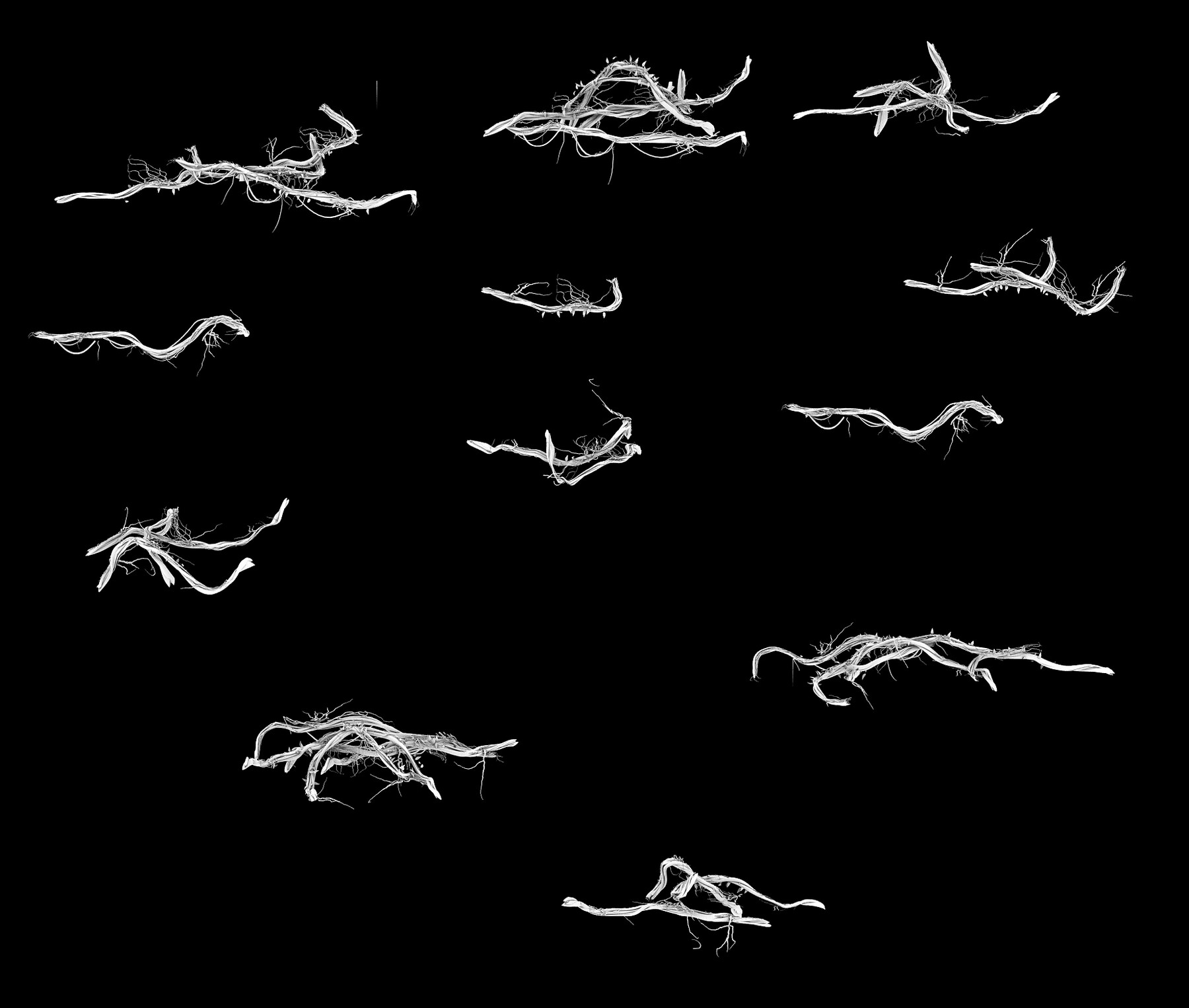 ArtStation - Big Trees - Vines 03 | Game Assets