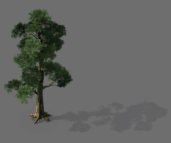 ArtStation - Game model - Alpine - Pine 05 | Game Assets