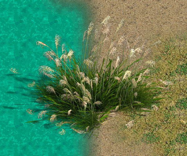 ArtStation - Lakeside Plants - Reed 05 | Game Assets