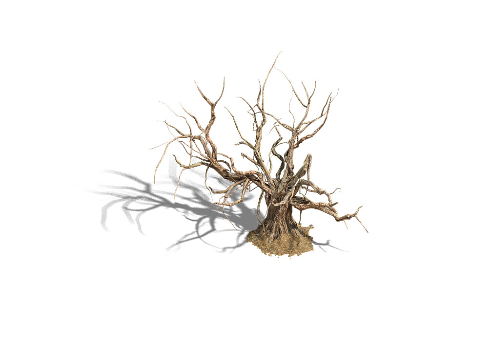 ArtStation - Barracks - desert Dead tree 02 | Game Assets