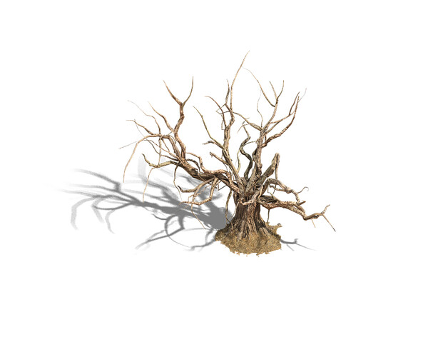 ArtStation - Barracks - desert Dead tree 02 | Game Assets